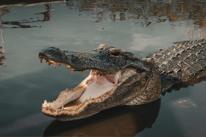 3-Day Miami Beach with Miami Bus/Boat Tour, Everglades and Keywest boat Tour - Who is This Tour Best For?