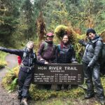 3 Days in Olympic National Park from Seattle: Silent Forest - Hoh Rainforest - Day 3: Mountain Vistas and Return to Seattle