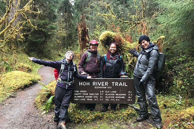 3 Days in Olympic National Park from Seattle: Silent Forest - Hoh Rainforest - Day 3: Mountain Vistas and Return to Seattle
