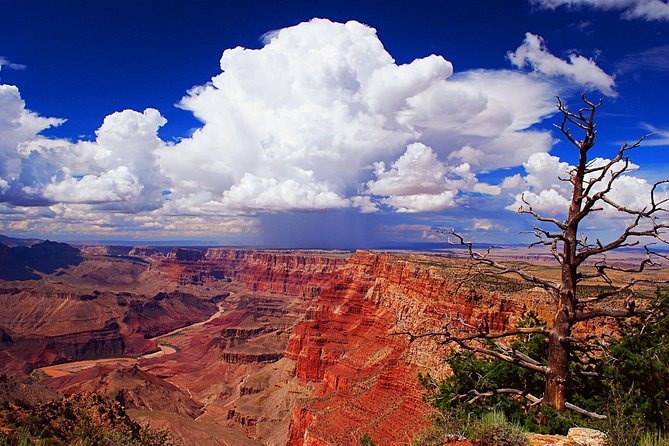 3 Hour Back-Road Safari to Grand Canyon with Entrance Gate By-Pass at 9:30 am - FAQ