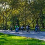 3 Hour Best of Manhattan Walking Tour and Cycle Central Park - Discovering Manhattan: A Deep Dive into the Tour’s Highlights