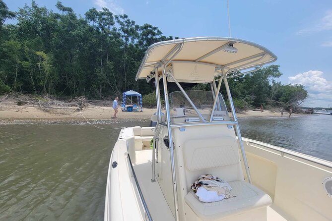 3 hour BYOB Morning Boat and Beach Excursion on Southern Charm - Who Is This Tour Best For?