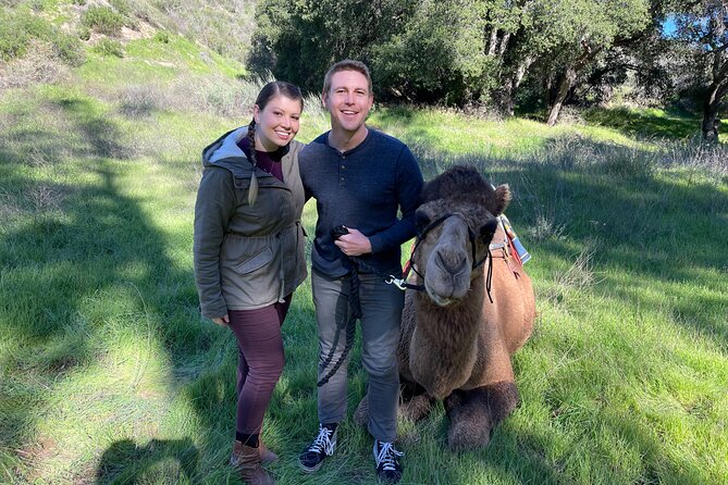 3 Hour Camel Trek into the Forest and Ranch in California - An In-Depth Look at the Camel Trek Tour
