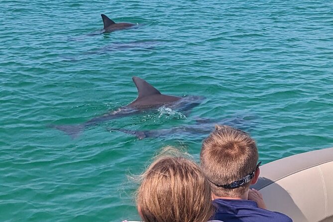 3 Hour Crab Island and Harbor Tour from Destin Non-Private - Why We Love This Crab Island Tour
