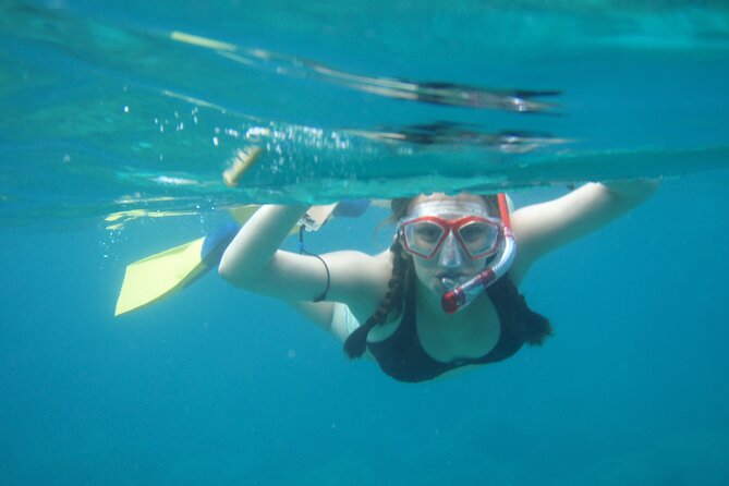 3 Hour Cruise & Swimming Excursion off Peanut Island Park - Who Will Love This Experience?
