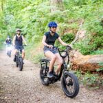 3-Hour E-Bike Sightseeing and Breweries Tour in Roanoke - Practical Considerations