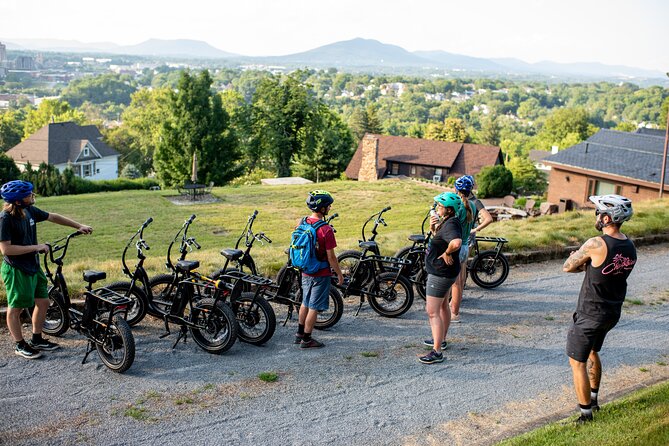 3-Hour E-Bike Sightseeing and Breweries Tour in Roanoke - Who Will Love This Tour?