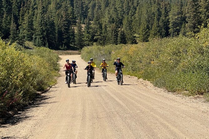 3-Hour E-Bike Tour of Trail of the Silver Kings (Old Mine Tour) - The Guide: A Key Element