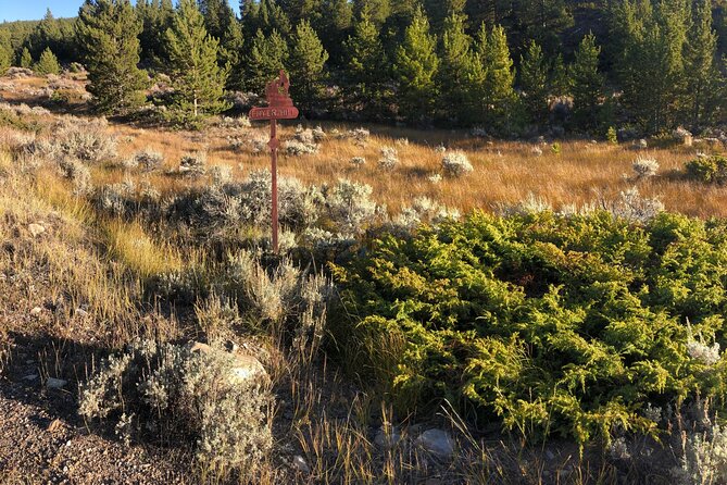3-Hour E-Bike Tour of Trail of the Silver Kings (Old Mine Tour) - Pricing & Value