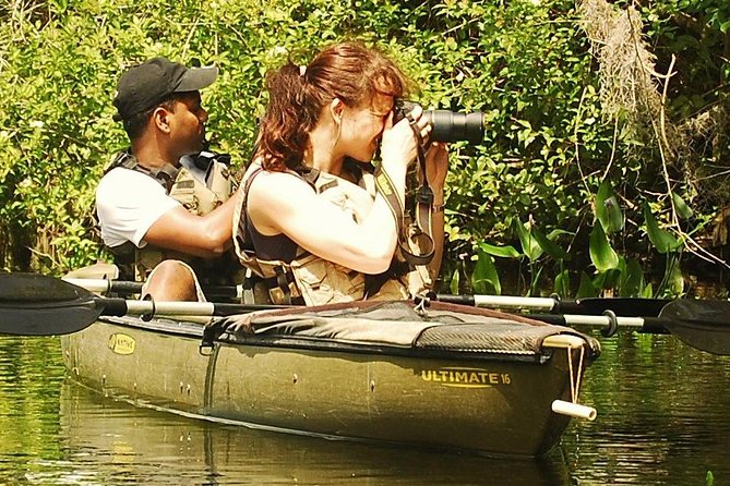 3 Hour Guided Mangrove Tunnel Kayak Eco Tour - An In-Depth Look at the Eco Tour Experience