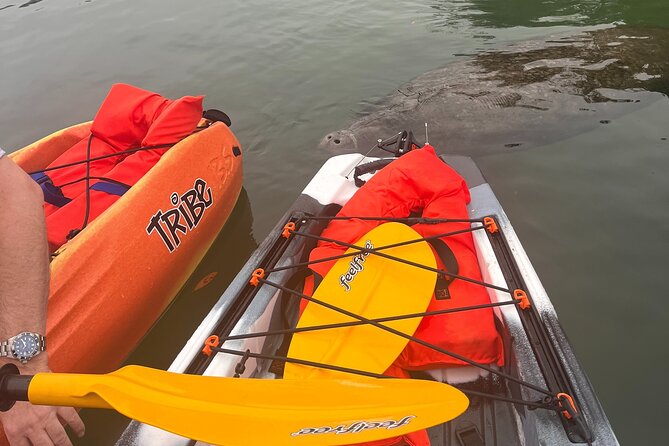 3 Hour Guided Single Kayak Adventure - Exploring the Tour in Detail