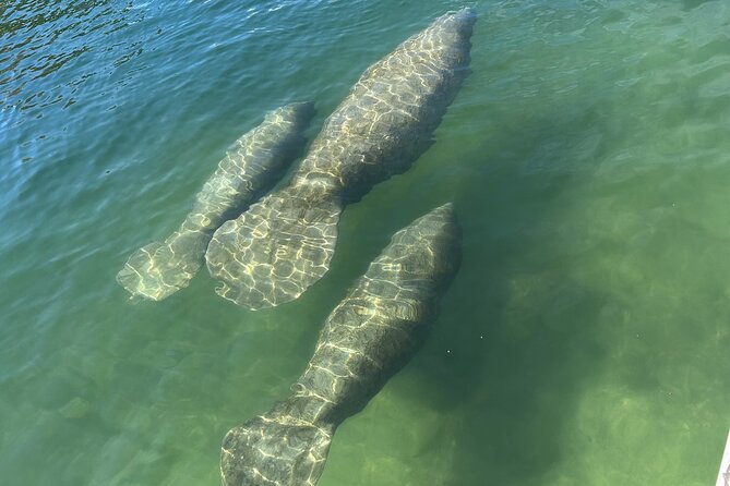 3 Hour Guided Tandem Kayak Adventure - What to Expect from the Guided Kayak Tour