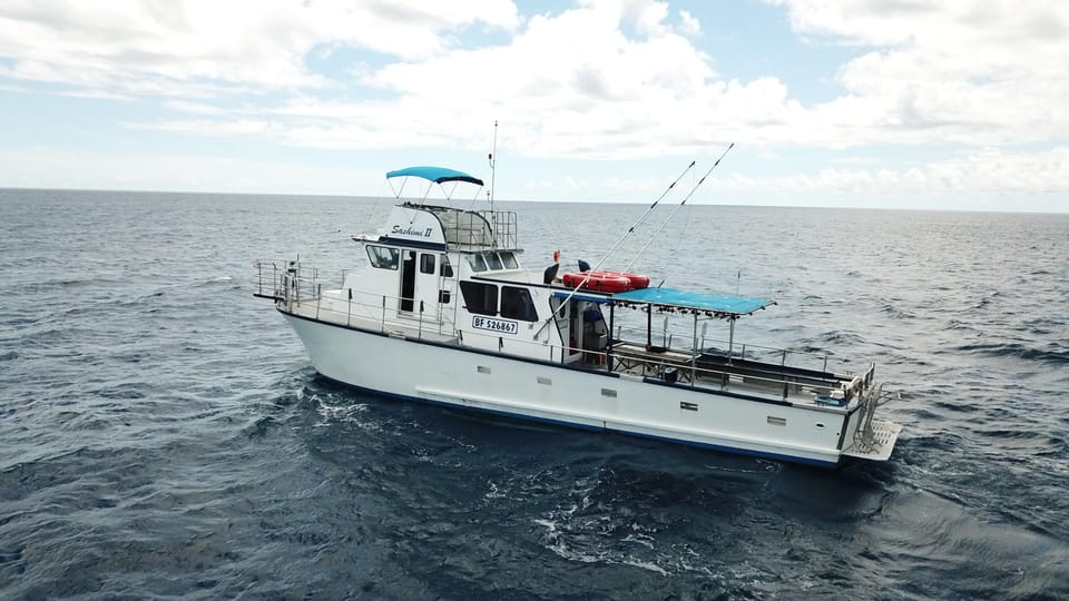 3-Hour Honolulu Bottom Fishing Adventure - The Sum Up