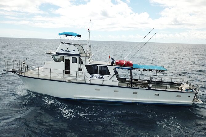 3-Hour Honolulu Bottom Fishing Adventure - The Itinerary and What You Can Expect