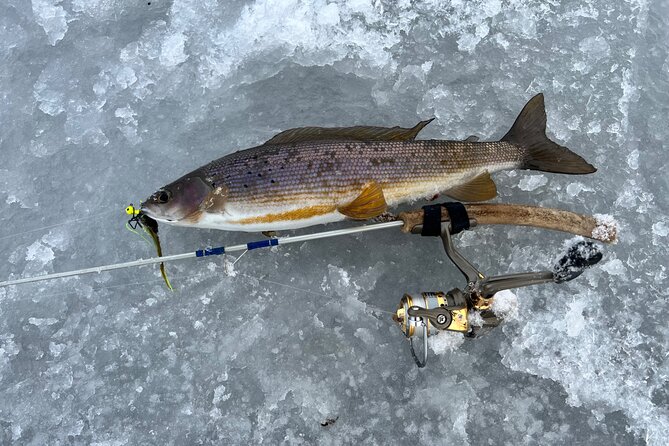 3 Hour Ice Fishing Experience - What to Expect from the 3-Hour Ice Fishing Tour
