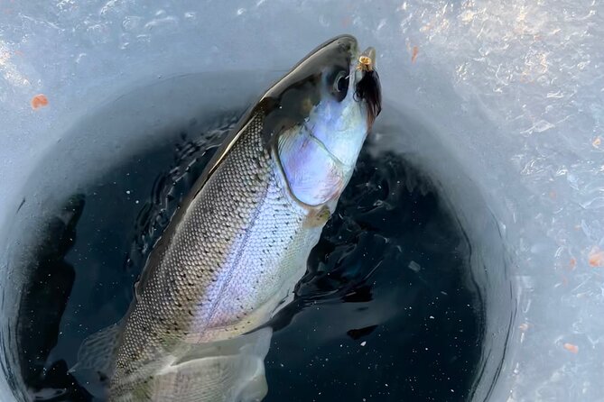 3 Hour Ice Fishing Experience - Who Would Love This Experience?