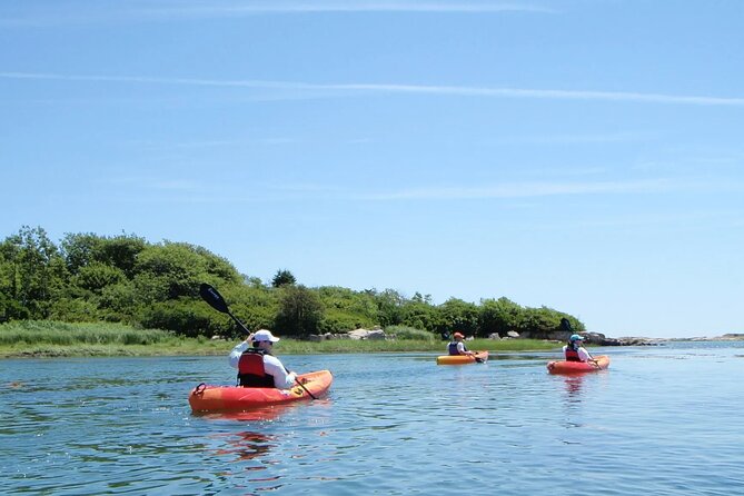 3 Hour Kayak/SUP Rental in Biddeford Pool - Key Points