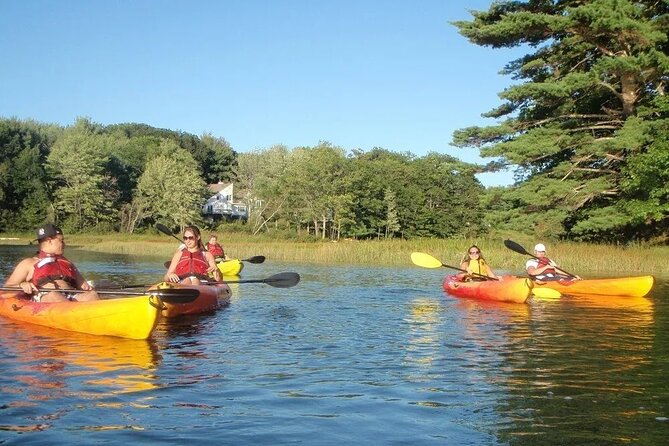 3 Hour Kayak/SUP Rental in Biddeford Pool - What’s Included and What You Should Know