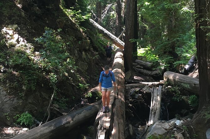 3-Hour Kayaking and Hiking in Californias Central Coast - Authenticity and Guides