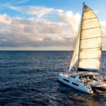 3 Hour Luxury Private Sailing Catamaran for 7-12 People - Authentic Insights from Reviews