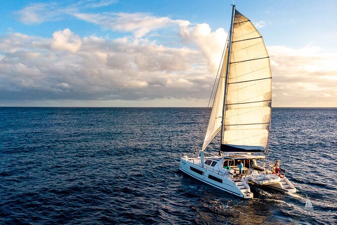 3 Hour Luxury Private Sailing Catamaran for 7-12 People - Authentic Insights from Reviews