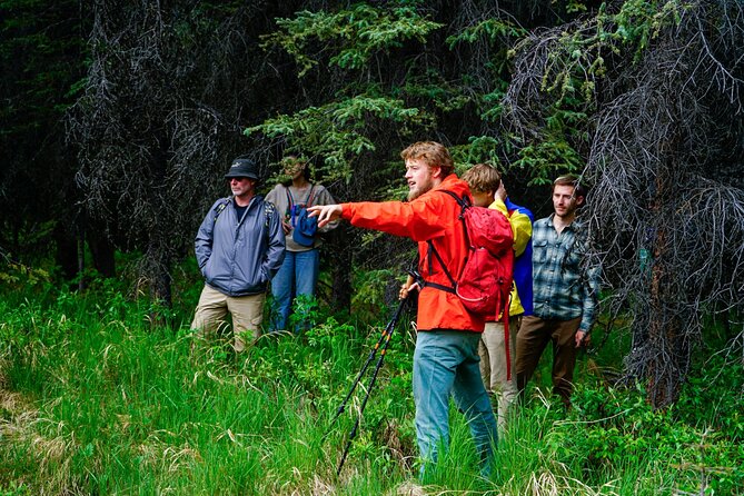 3 Hour Naturalist Walking Tour in Denali National Park - Key Points