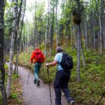 3 Hour Naturalist Walking Tour in Denali National Park - The Experience: What Travelers Say