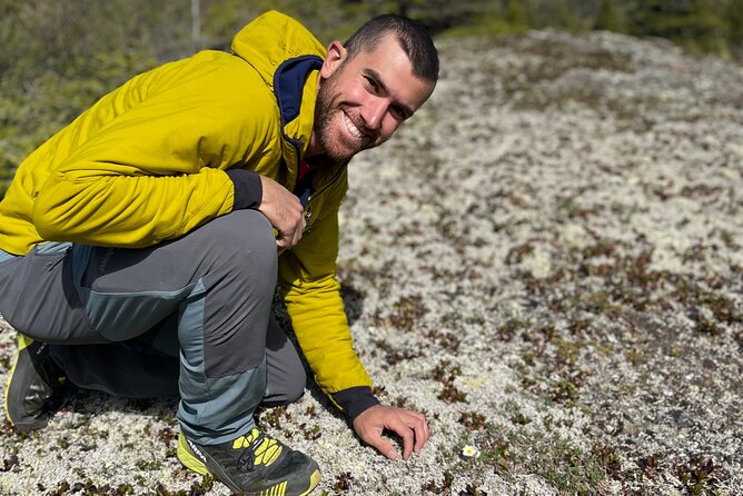 3 Hour Naturalist Walking Tour in Denali National Park - Practical Considerations
