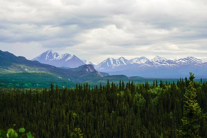 3 Hour Naturalist Walking Tour in Denali National Park - Final Thoughts