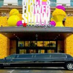 3 Hour NYC Private Limousine Tour - The Experience from the Reviews
