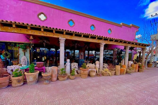 3 Hour Pink Store Lunch and Area Shopping in Palomas, Mexico - Key Points