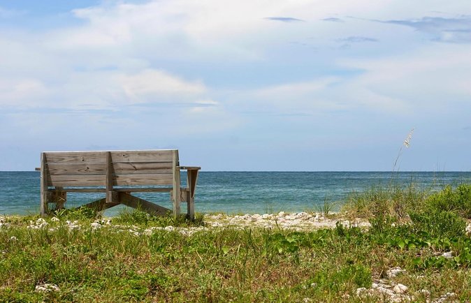 3-hour Private Boat Tour in Clearwater Florida Up to 6 People - Key Points