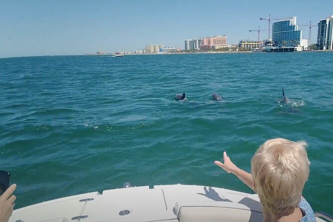 3-hour Private Boat Tour in Clearwater Florida Up to 6 People - Authentic Review Highlights