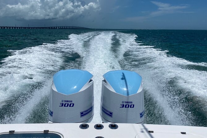 3 Hour Private Snorkeling in Marathon Florida - The Itinerary in Detail