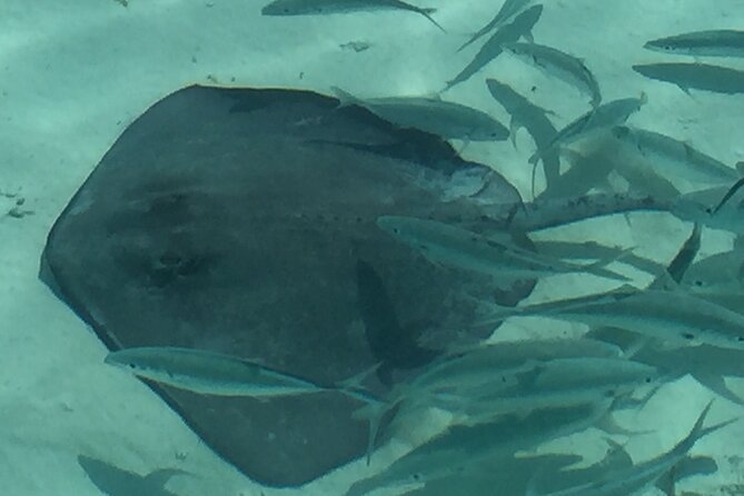 3 Hour Private Snorkeling in Marathon Florida - Practical Tips for Your Private Snorkeling Adventure