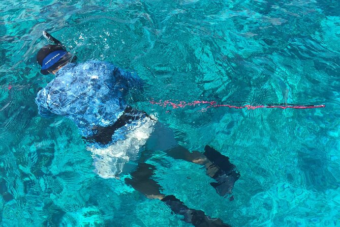 3 Hour Private Snorkeling in Marathon Florida - FAQ