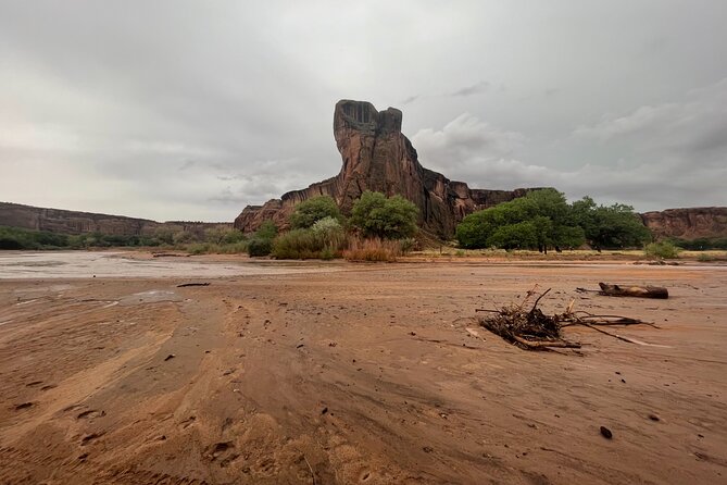 3-hour Private Tour - An In-Depth Look at the 3-Hour Private Tour Experience