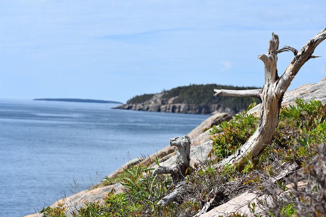 3 Hour Private Tour: Explore all the top spots of Acadia! - Real Experiences from Guests
