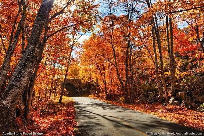 3 Hour Private Tour: Explore all the top spots of Acadia! - The Sum Up