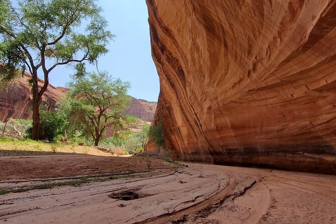 3 hour Private Tour in Chinle - A Deep Dive into the Canyon de Chelly Private Tour