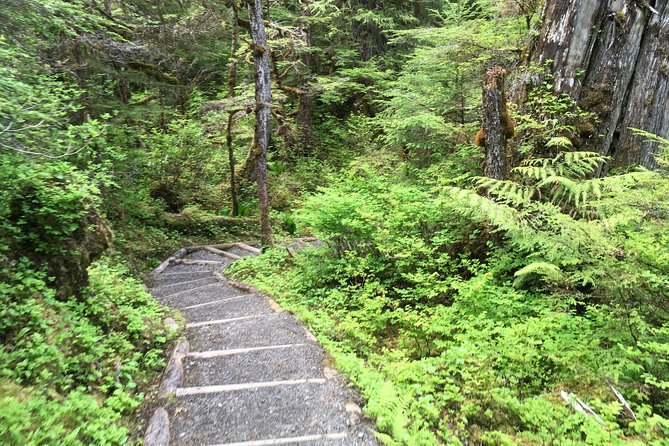 3 Hour Rainforest Walk & Totem Park Wild Wolf Tours - The Experience: What Makes It Special