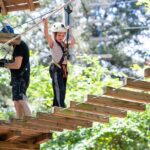 3-Hour Ropes Course & Zip Line Adventure - An Overview of the Experience
