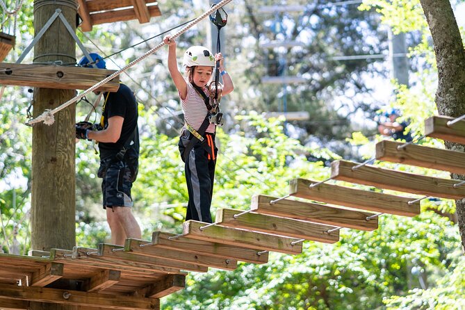 3-Hour Ropes Course & Zip Line Adventure - An Overview of the Experience