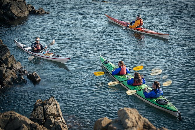 3-Hour Sea Kayak Tour in the San Juan Islands - Exploring the 3-Hour Sea Kayak Tour in the San Juan Islands