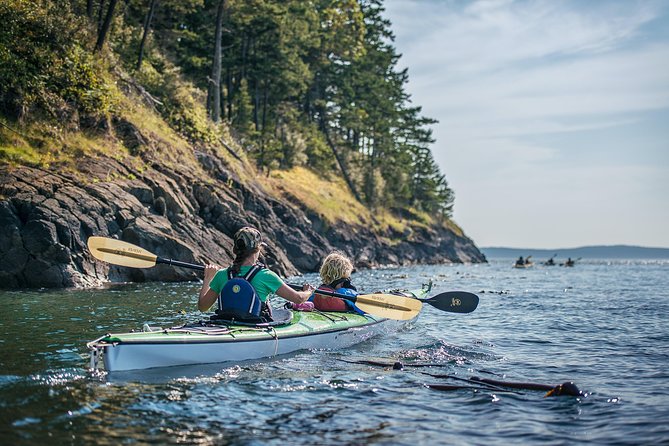 3-Hour Sea Kayak Tour in the San Juan Islands - Key Points