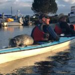 3-Hour Sea Kayak Tour in the San Juan Islands - Why Choose This San Juan Islands Kayak Tour?