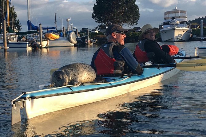 3-Hour Sea Kayak Tour in the San Juan Islands - Why Choose This San Juan Islands Kayak Tour?