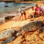 3 Hour Sightseeing *SPECIALTY Tour - Final Thoughts: Is This Tour Worth It?