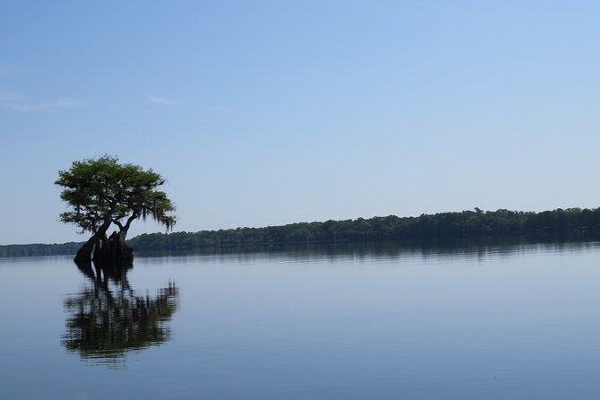 3 Hour Small Group Lake Norris Kayak Activity - An In-Depth Look at the Lake Norris Kayak Tour