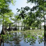 3 Hour Small Group Lake Norris Kayak Activity - Wrapping It Up: Who Will Love This Tour?